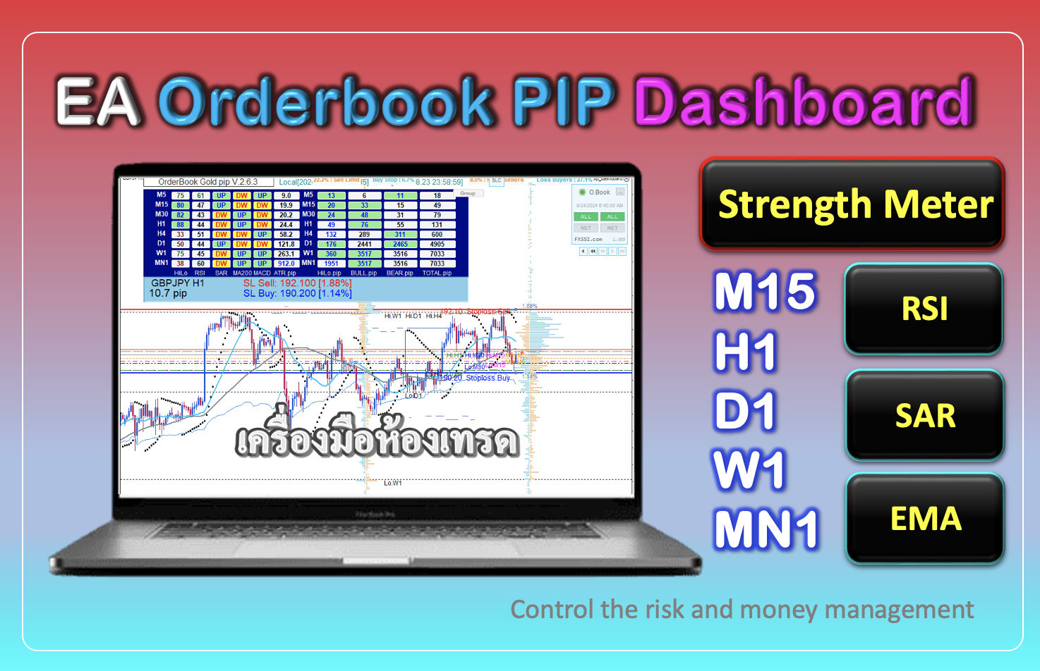 BB Thai Forex